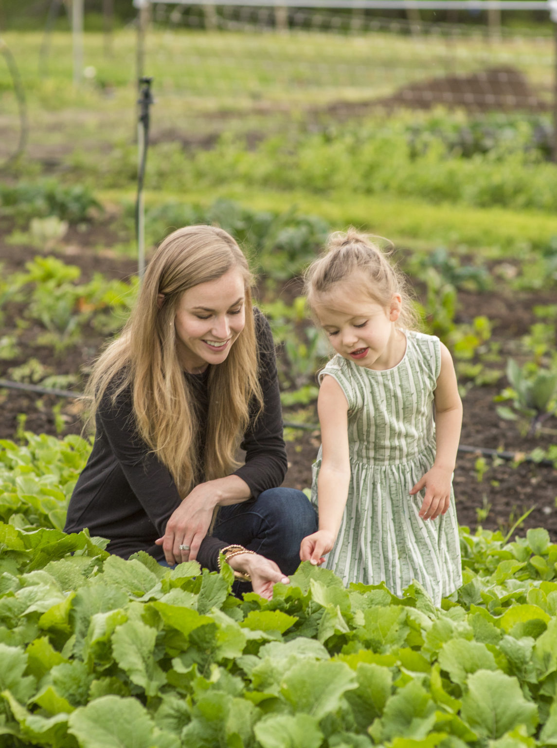 Dry Creek Ranch, Boise Hunter Homes - Home Builders In Boise