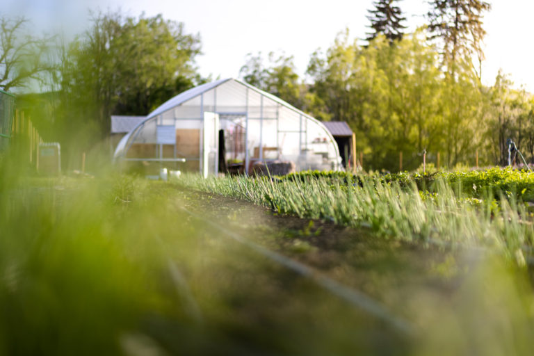 Dry Creek Ranch – Boise Hunter Homes
